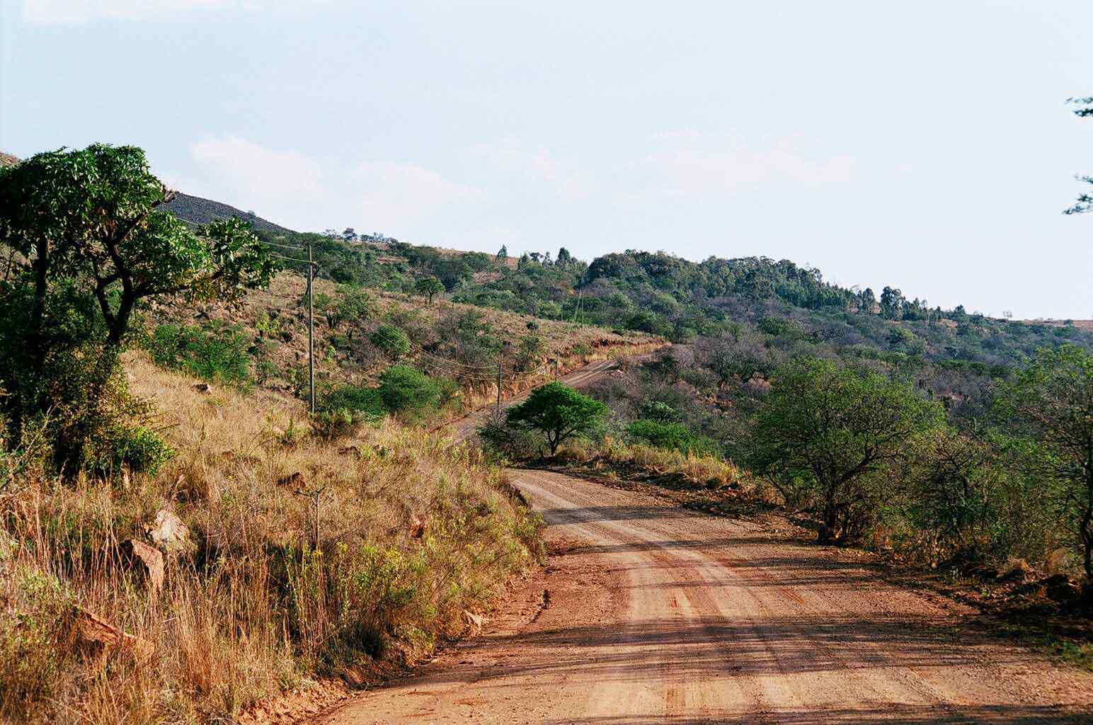 Gallery – Riverbed Africa