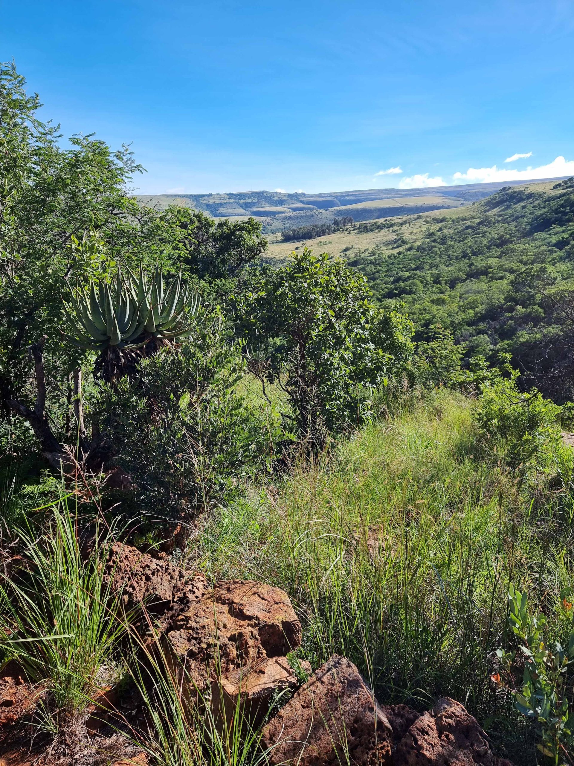 Gallery - Riverbed Africa