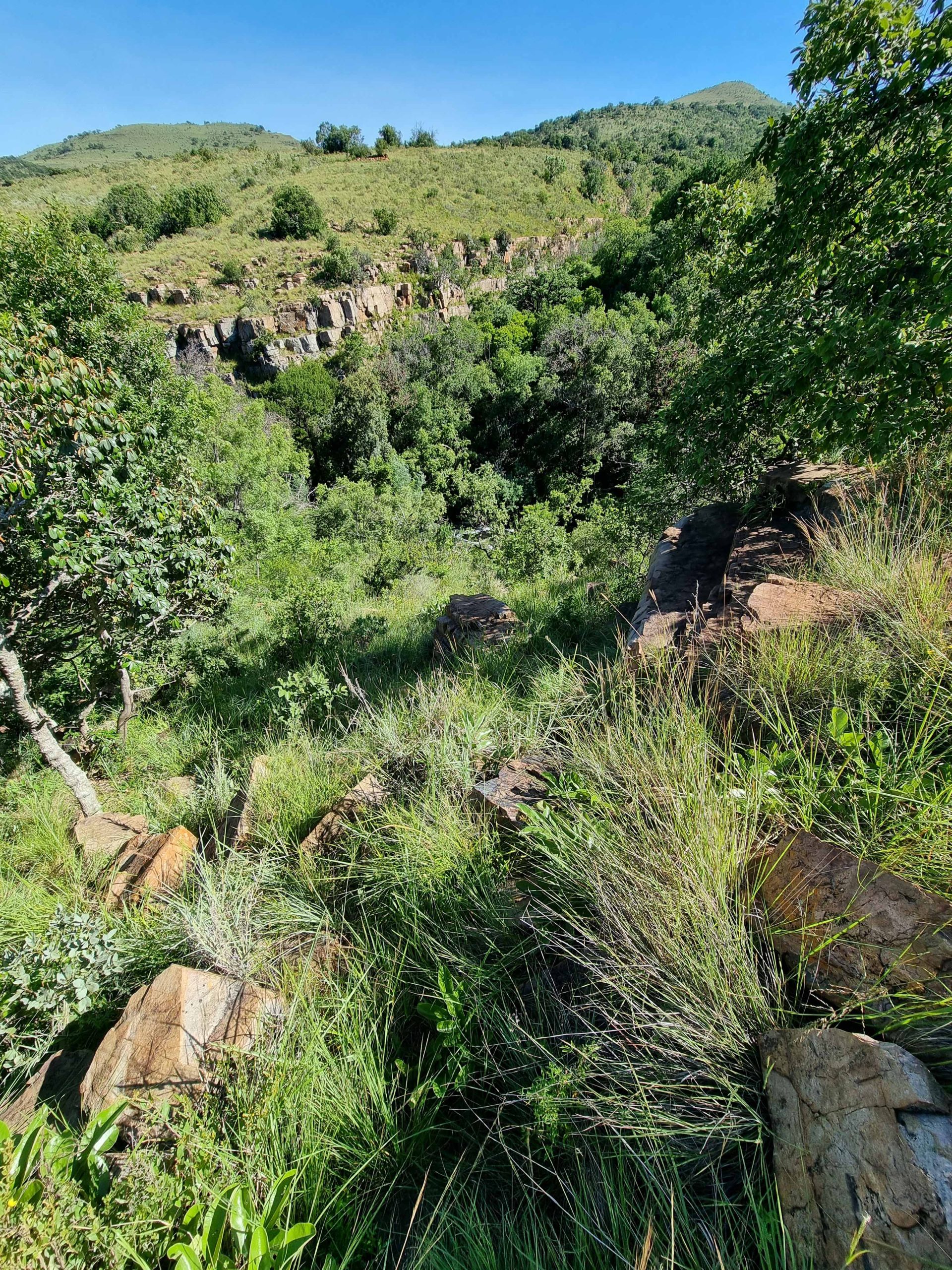 Gallery - Riverbed Africa